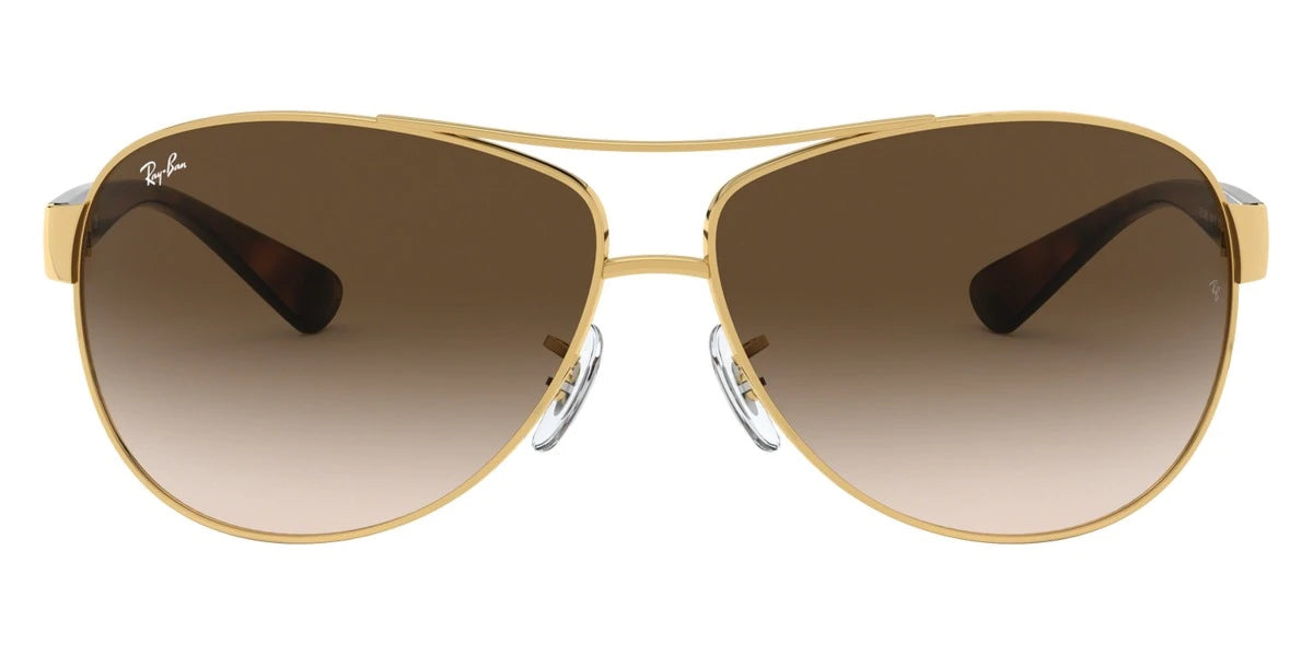 Ray-Ban RB3386 Aviator Sunglasses | EyeOns.com