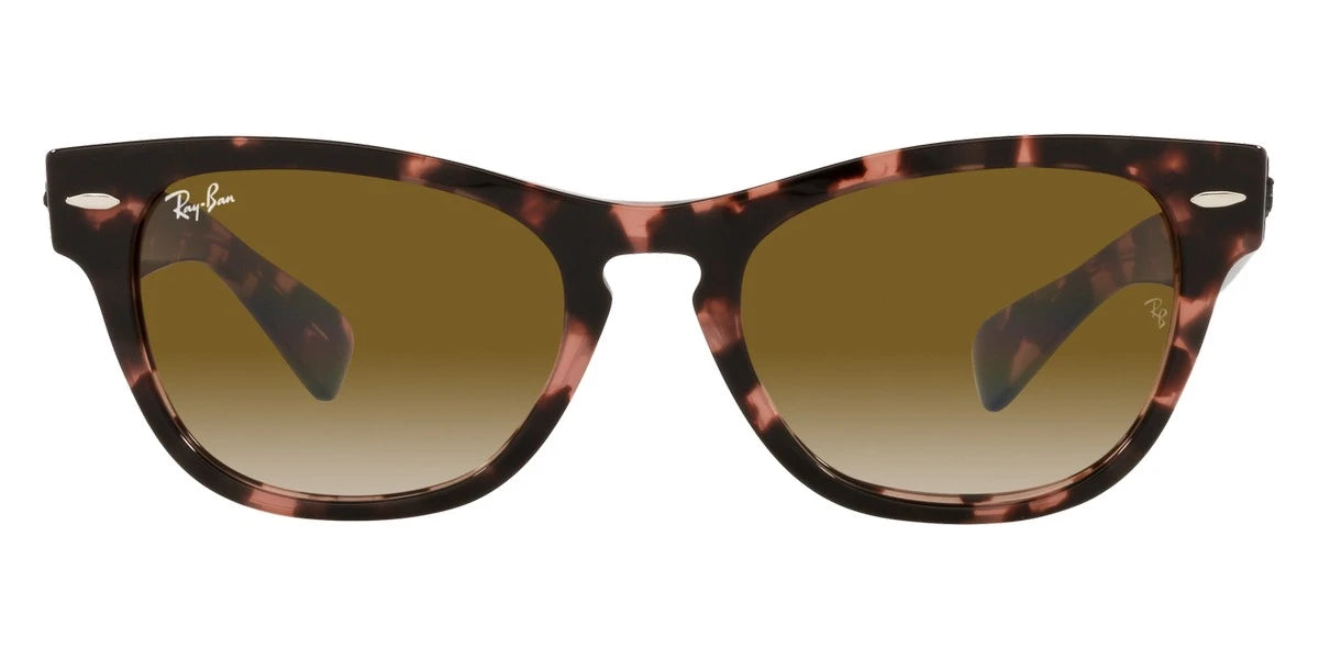 Ray-Ban® Laramie RB2201 Irregular Sunglasses | EyeOns.com