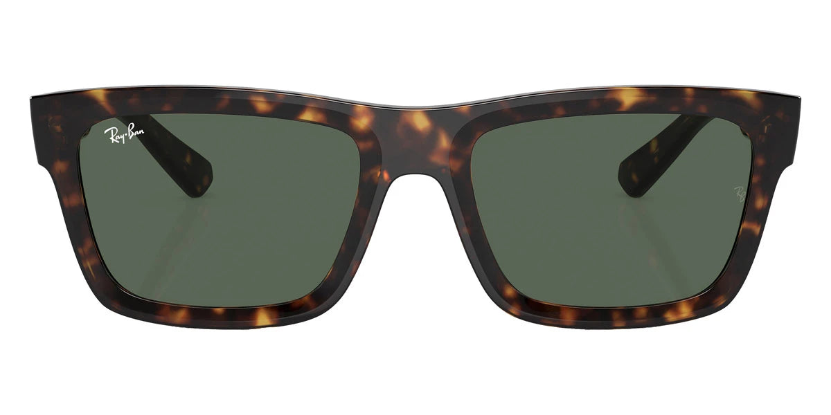 Ray-Ban® Warren RB4396 Rectangle Sunglasses | EyeOns.com
