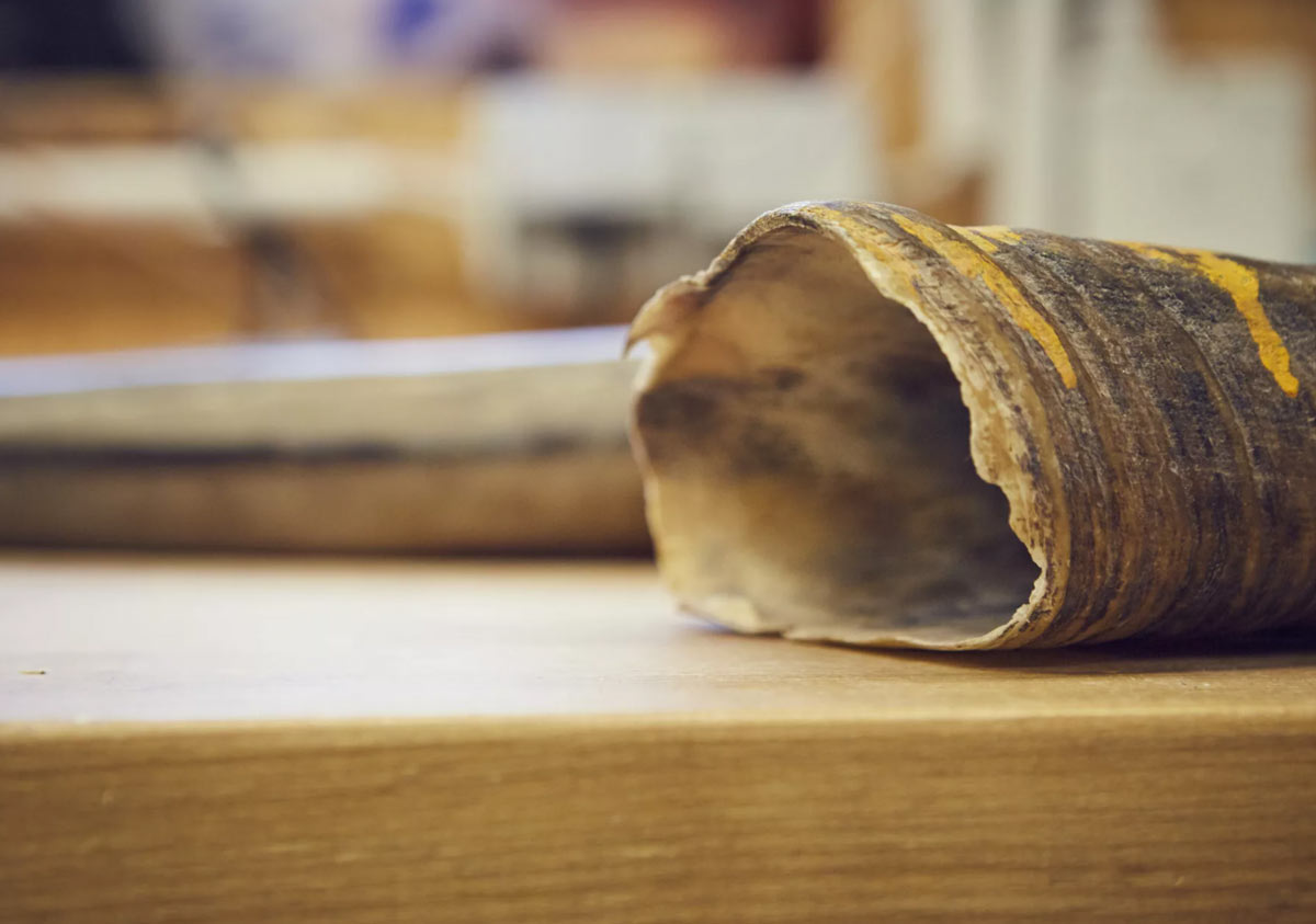 The Ultimate Guide to Cartier Buffs: Style, Price, and Popularity – EyeOns.com